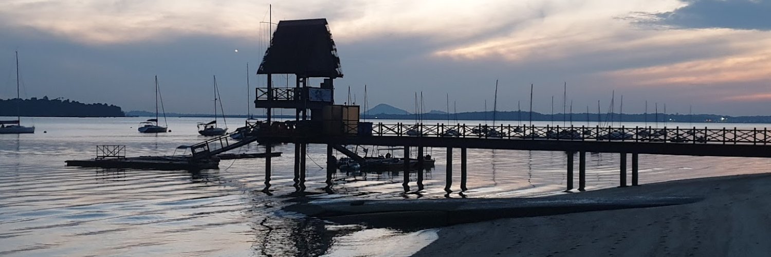 Aaron Tay (@aarontay@mastodon.cloud) - mastodon.cloud