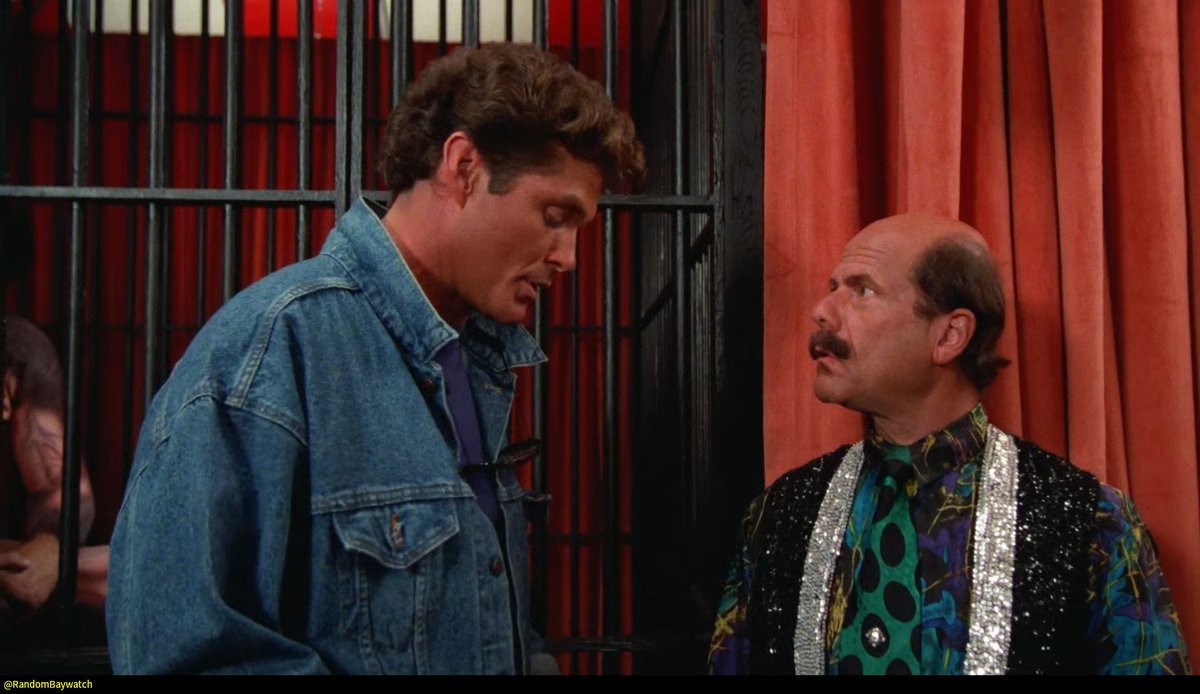 RandomBaywatch: "#BaywatchRewatch I’m watching 𝗕𝗔𝗬𝗪𝗔𝗧𝗖𝗛 Season 4 …" - mastodon.cloud